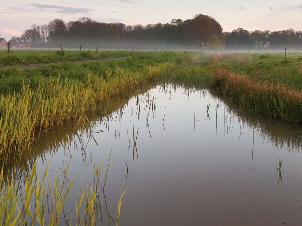 Ingénieurs-Conseils - LSC Engineering Group